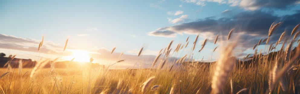 Obituary, Visitation & Funeral Information | Kay Anne Theobald